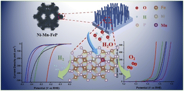 Manipulating the d-band centers of transition metal phosphides through ...