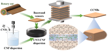 High-performance carbon nanotube-cellulose nanofiber bulk materials ...
