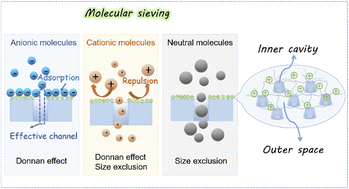 Charged cyclodextrin membranes for precise molecular sieving - Journal ...