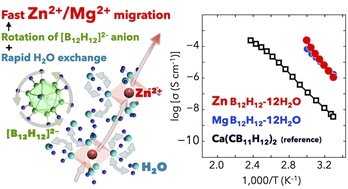 Fast divalent conduction in MB12H12·12H2O (M = Zn, Mg) complex hydrides ...
