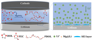 Enabling highly stable lithium metal batteries by using dual-function ...