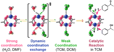 Dynamic weak coordination bonding of chlorocarbons enhances the ...