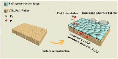 Roles of the self-reconstruction layer in the catalytic stability of a ...
