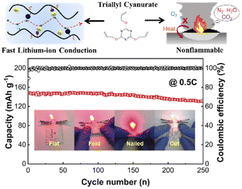 Triallyl cyanurate copolymerization delivered nonflammable and fast ion ...