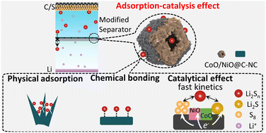 Synergistic effect of adsorption and electrocatalysis of CoO/NiO ...