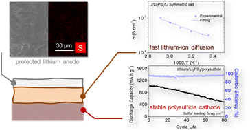 Lithium–sulfur cells with a sulfide solid electrolyte/polysulfide cathode interface - Journal of ...