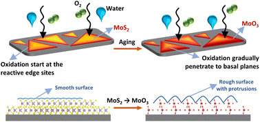 A review on tailoring the corrosion and oxidation properties of MoS2 ...