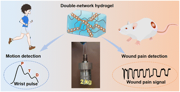Modulation of double-network hydrogels via seeding calcium carbonate ...