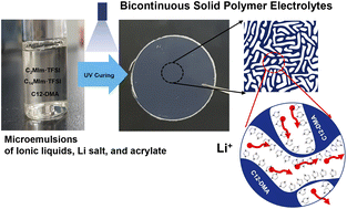 Solid polymer electrolytes of ionic liquids via a bicontinuous ion ...