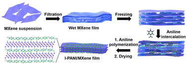 Ice crystal-assisted intercalation of PANI within Ti3C2Tx MXene thin ...