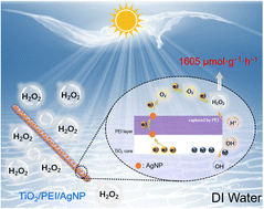 Boosting photocatalytic H2O2 production in pure water over a plasmonic ...
