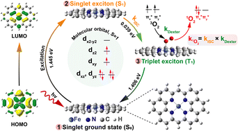 Single and dual metal atom catalysts for enhanced singlet oxygen ...