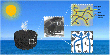 A cryogel solar vapor generator with rapid water replenishment and high ...