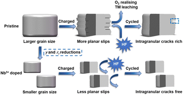 Surface energy alteration-derived grain size regulation countering ...