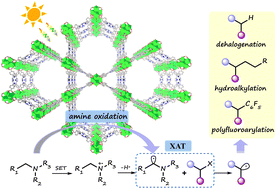 Efficient amine oxidation using metal–organic framework photocatalysts ...