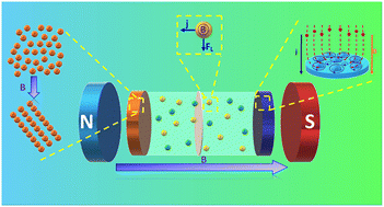 Recent developments, challenges and future prospects of magnetic field ...