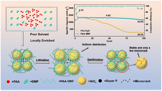 Poly(acrylic acid) locally enriched in slurry enhances the ...