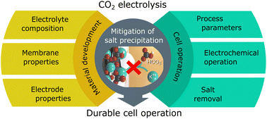 Strategies for the mitigation of salt precipitation in zero-gap CO2 ...