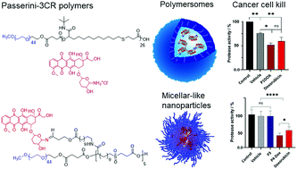 Passerini chemistries for synthesis of polymer pro-drug and polymersome ...