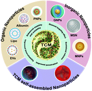 Nano-traditional Chinese medicine: a promising strategy and its recent ...