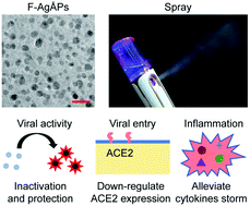 Ångstrom-scale silver particles potently combat SARS-CoV-2 infection by ...