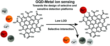 Metal ion sensing with graphene quantum dots: detection of harmful ...