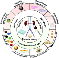 Recent advances in nanomaterials for prostate cancer detection and ...