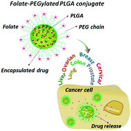 Progress in the drug encapsulation of poly(lactic-co-glycolic acid) and ...