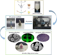 3D bio-printing of photocrosslinked anatomically tooth-shaped scaffolds ...