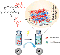A visible-light activated ROS generator multilayer film for ...