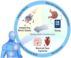 Biodegradable bioelectronics for biomedical applications - Journal of ...