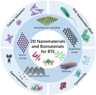 When 2D nanomaterials meet biomolecules: design strategies and hybrid ...