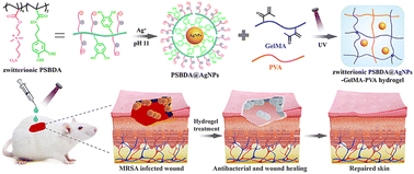 A zwitterionic silver nanoparticle-incorporating injectable hydrogel ...
