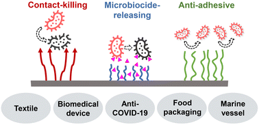 Surface antimicrobial functionalization with polymers: fabrication ...