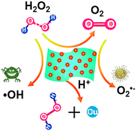 ROS generation strategy based on biomimetic nanosheets by self-assembly ...