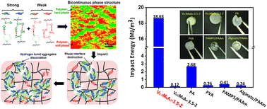 An impact resistant hydrogel enabled by bicontinuous phase structure ...