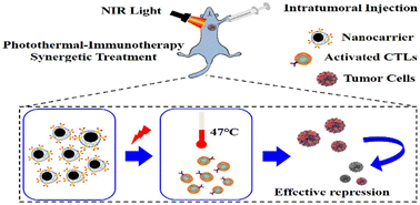 PD-1 engineered cytomembrane cloaked molybdenum nitride for synergistic ...