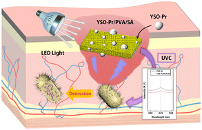 Visible-UVC upconversion polymer films for prevention of microbial ...