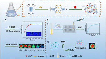 A novel enzyme-free long-lasting chemiluminescence system based on a ...
