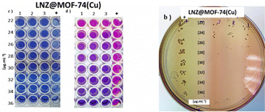 Linezolid@MOF-74 as a host–guest system with antimicrobial activity ...