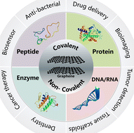 Recent advances of graphene–biomacromolecule nanocomposites in medical ...