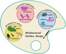 Antibacterial features of material surface: strong enough to serve as ...
