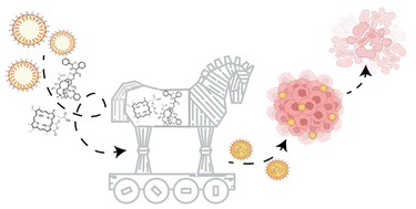A Trojan horse approach for efficient drug delivery in photodynamic ...