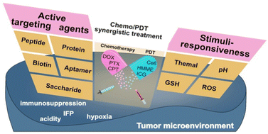 Development of “smart” drug delivery systems for chemo/PDT synergistic ...