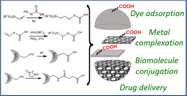 Revisiting carboxylic group functionalization of silica sol–gel ...