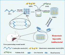 Starch-based shape memory sponge for rapid hemostasis in penetrating ...