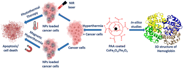 Comparative analysis of cobalt ferrite and iron oxide nanoparticles ...