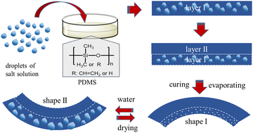 Water-actuated reversible shape-memory polydimethylsiloxane for ...