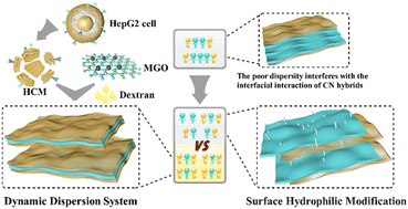 Boosting the integration of cell membrane-nanomaterial hybrids via ...