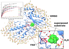 Understanding the activity of glucose oxidase after exposure to organic ...